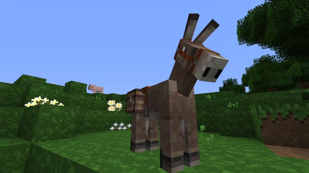 Minecraft Donkey - Best Free Minecraft Wiki and Trivia