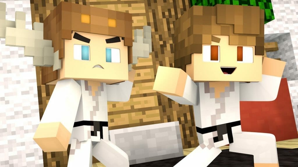 Learn Judo in Minecraft With This New Great Host