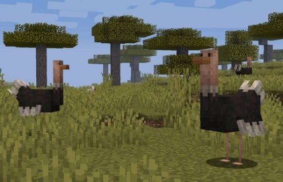 Top 5 Mobs Revealed by Mojang In Next Releases