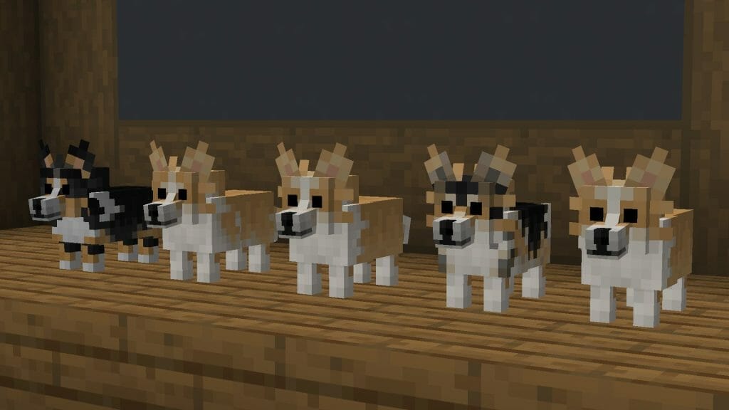 Better Dogs in Minecraft 1.19.3 → 1.18.1 Resource Pack Free
