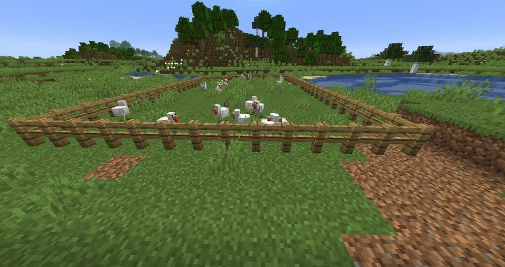 What do Chickens Eat in Minecraft? Learn from the Best