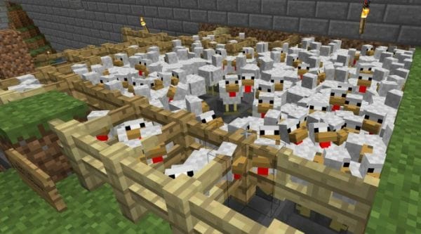 What do Chickens Eat in Minecraft? Learn from the Best