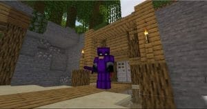 Quadral 1.16 Texture Pack for Minecraft free download link