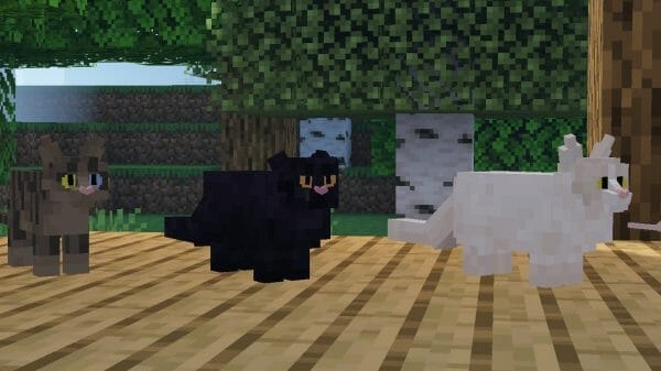 Better Cats! 1.19.3 Resource Pack Free Download and Review