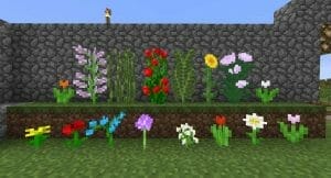 Useful Minecraft Flowers List and Where to Find Them